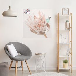 Bilderwelten Glasbild Blumen Motiv rosa Glas Wandbild - Protea K&ouml;nigin der Bl&uuml;ten - Deko Wohnzimmer Schlafzimmer