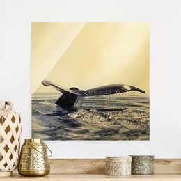 Bilderwelten Glasbild Tiere Motiv blau Glas Wandbild - Wal Gesang auf Island - Deko Wohnzimmer Schlafzimmer