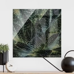 Bilderwelten Glasbild Motiv schwarz Glas Wandbild - Kaktus mit Sternpunkten bei Nacht - Deko Wohnzimmer Schlafzimmer