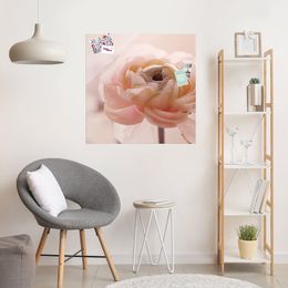 Bilderwelten Glasbild Motiv rosa Glas Wandbild - Rosa Bl&uuml;te im Fokus - Rose Wohnzimmer Schlafzimmer