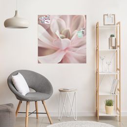 Bilderwelten Glasbild Blumen Motiv rosa Glas Wandbild - Rosane Sukkulentenbl&uuml;te - Deko Wohnzimmer Schlafzimmer