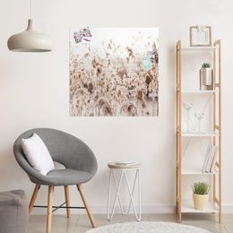 Bilderwelten Glasbild Blumen Landhaus beige Glas Wandbild - Meer von sonnigem Schilfgras - Gr&auml;ser Wohnzimmer Schlafzimmer