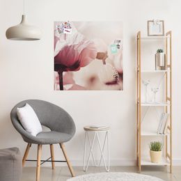 Bilderwelten Glasbild Blumen Motiv rosa Glas Wandbild - Zartrosane Mohnbl&uuml;te mit Wassertropfen - Mohn Wohnzimmer Schlafzimmer