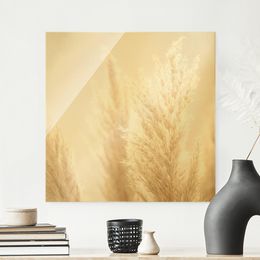 Bilderwelten Glasbild Blumen Landhaus beige Glas Wandbild - Pampasgras im Sonnenlicht - Gr&auml;ser Wohnzimmer Schlafzimmer
