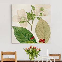 Bilderwelten Leinwandbild - Quadrat Tableau Blatt Bl&uuml;te Frucht III