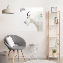 Bilderwelten Glasbild Tiere Motiv weiss Glas Wandbild - Wei&szlig;e Bergziege - Deko Wohnzimmer Schlafzimmer