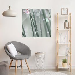Bilderwelten Glasbild Blumen Landhaus gr&uuml;n Glas Wandbild - Makroaufnahme Wasserperlen am Gras - Gr&auml;ser Wohnzimmer Schlafzimmer