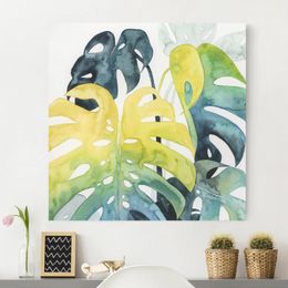 Bilderwelten Leinwandbild - Quadrat Tropisches Blattwerk - Monstera