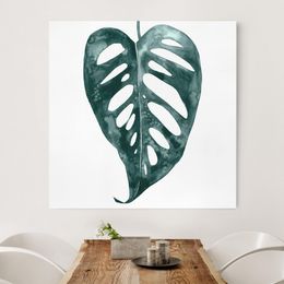 Bilderwelten Leinwandbild - Quadrat Smaragdgr&uuml;ne Monstera Adansonii