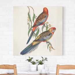 Bilderwelten Leinwandbild Tiere Vintage Kunstdruck beige - Tropische Papageien II - Retro XXL Wohnzimmer Schlafzimmer