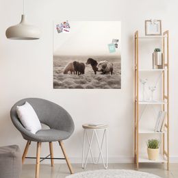 Bilderwelten Glasbild Tiere Motiv braun Glas Wandbild - Island Wildpferde - Pferde Wohnzimmer Schlafzimmer