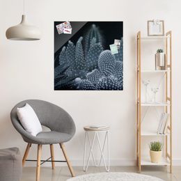 Bilderwelten Glasbild Motiv schwarz Glas Wandbild - Kakteenfamilie bei Nacht - Deko Wohnzimmer Schlafzimmer