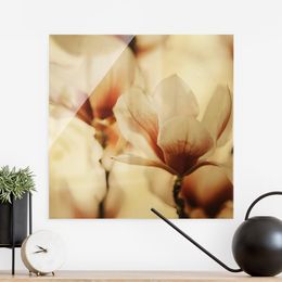 Bilderwelten Glasbild Blumen Motiv rosa Glas Wandbild - Zarte Magnolienbl&uuml;ten im Lichtspiel - Deko Wohnzimmer Schlafzimmer