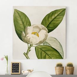 Bilderwelten Leinwandbild Blumen Landhaus Kunstdruck gr&uuml;n - Tableau Blatt Bl&uuml;te Frucht II - Pflanzen XXL Wohnzimmer Schlafzimmer