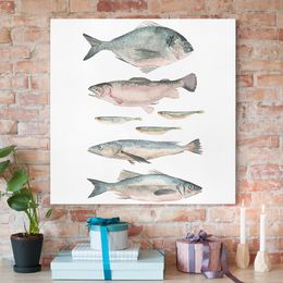 Bilderwelten Leinwandbild - Quadrat Sieben Fische in Aquarell II