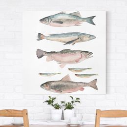 Bilderwelten Leinwandbild - Quadrat Sieben Fische in Aquarell I