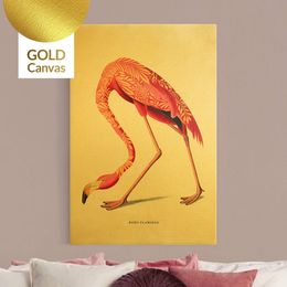 Bilderwelten Leinwandbild Boho Vogel - Flamingo