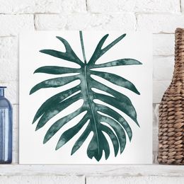 Bilderwelten Leinwandbild - Quadrat Smaragdgr&uuml;ner Philodendron Angustisectum