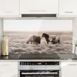 Bilderwelten Glas Spritzschutz Motiv braun Tiere - Island Wildpferde - Pferde K&uuml;chenr&uuml;ckwand aus Glas