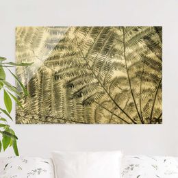Bilderwelten Glasbild Motiv gr&uuml;n Glas Wandbild - Unterm Farn - Deko Wohnzimmer Schlafzimmer