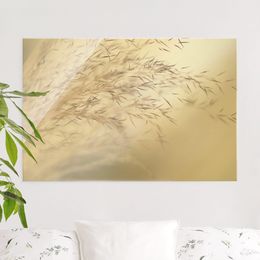 Bilderwelten Glasbild Blumen Landhaus beige Glas Wandbild - Wiesengras Close Up - Gr&auml;ser Wohnzimmer Schlafzimmer