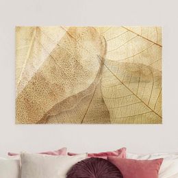 Bilderwelten Glasbild Landhaus beige Glas Wandbild - Filigrane Blattstruktur in Gold - Deko Wohnzimmer Schlafzimmer