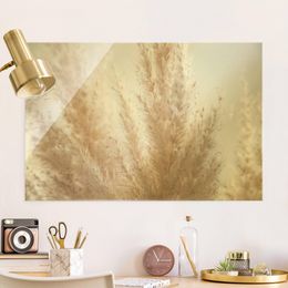 Bilderwelten Glasbild Blumen Landhaus beige Glas Wandbild - Zartes Pampasgras Close Up - Gr&auml;ser Wohnzimmer Schlafzimmer