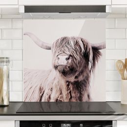 Bilderwelten Glas Spritzschutz Motiv beige Tiere - Hochlandrind Frida in Beige - Deko K&uuml;chenr&uuml;ckwand aus Glas