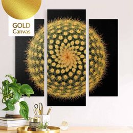 Bilderwelten Leinwandbild 3-teilig - Schlafzimmer Wohnzimmer - Kaktusbl&uuml;te - mehrteilige Wandbilder - Bildergalerie Bilderwand - XXL - Leinwanddruck - Katkus Bl&uuml;te