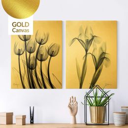 Bilderwelten 2-teiliges Leinwandbild X-Ray - Tulpen & Schwertlilie