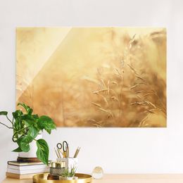 Bilderwelten Glasbild Blumen Landhaus beige Glas Wandbild - Gr&auml;ser im Sonnenschein - Gr&auml;ser Wohnzimmer Schlafzimmer