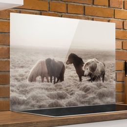 Bilderwelten Glas Spritzschutz Motiv braun Tiere - Island Wildpferde - Pferde K&uuml;chenr&uuml;ckwand aus Glas