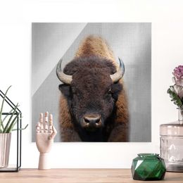 Bilderwelten Glasbild Tiere Motiv schwarz weiss Glas Wandbild - B&uuml;ffel Bertram - Deko Kinderzimmer Baby M&auml;dchen Jungen