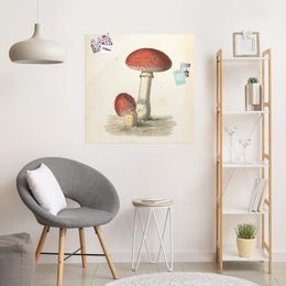 Bilderwelten Glasbild Kulinarisch Vintage beige Glas Wandbild - Franz&ouml;sische Pilze II - Retro Wohnzimmer Schlafzimmer