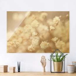 Bilderwelten Glasbild Blumen Landhaus beige Glas Wandbild - Bl&uuml;tentr&auml;ume in Creme - Blumenwiese Wohnzimmer Schlafzimmer