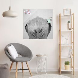 Bilderwelten Glasbild Tiere Motiv schwarz weiss Glas Wandbild - Elefant von hinten Schwarz Wei&szlig; - Elefant Kinderzimmer Baby M&auml;dchen Jungen