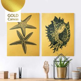 Bilderwelten Leinwandbild Tiere Illustration Kunstdruck blau - Strandgut in Navy - Wandbild XXL Wohnzimmer Schlafzimmer