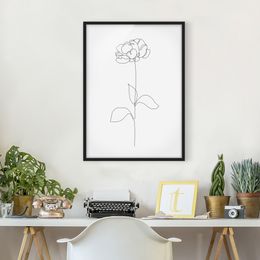 Bilderwelten Bild mit Rahmen Line Art Blumen - Pfingstrose