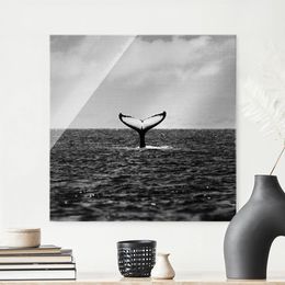Bilderwelten Glasbild Strand Motiv schwarz weiss Glas Wandbild - Fluke im Ozean - Meerblick Wohnzimmer Schlafzimmer