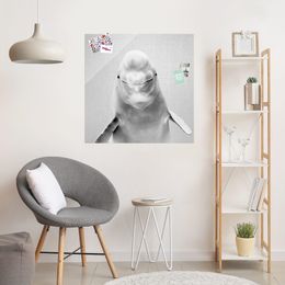 Bilderwelten Glasbild Tiere Motiv schwarz weiss Glas Wandbild - Belugawal Bob Schwarz Wei&szlig; - Fische Kinderzimmer Baby M&auml;dchen Jungen