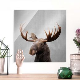 Bilderwelten Glasbild Tiere Motiv schwarz weiss Glas Wandbild - Elch Erhardt - Deko Kinderzimmer Baby M&auml;dchen Jungen