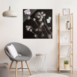 Bilderwelten Glasbild Blumen Tropisch schwarz weiss Glas Wandbild - G&auml;nsebl&uuml;mchen Studie - Pflanzen Wohnzimmer Schlafzimmer