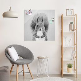 Bilderwelten Glasbild Tiere Motiv schwarz weiss Glas Wandbild - Eichh&ouml;rnchen Elisabeth Schwarz Wei&szlig; - Deko Kinderzimmer Baby M&auml;dchen Jungen