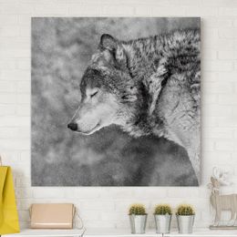 Bilderwelten Leinwandbild Tiere Motiv Kunstdruck schwarz weiss - Winter Wolf - Wandbild XXL Wohnzimmer Schlafzimmer