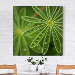 Bilderwelten Leinwandbild Blumen Tropisch Kunstdruck gr&uuml;n - Morgentau auf Lupinenbl&auml;ttern - Gr&auml;ser XXL Wohnzimmer Schlafzimmer