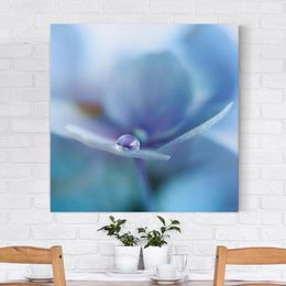 Bilderwelten Leinwandbild Blumen Motiv Kunstdruck blau - Wassertropfen Hortensienbl&uuml;te - Wandbild XXL Wohnzimmer Schlafzimmer