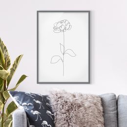 Bilderwelten Bild mit Rahmen Portrait schwarz weiss modern inkl. Rahmung - Line Art Blumen - Pfingstrose - Deko Wohnzimmer Schlafzimmer