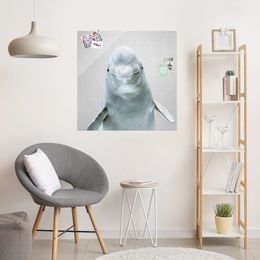 Bilderwelten Glasbild Tiere Motiv schwarz weiss Glas Wandbild - Belugawal Bob - Fische Kinderzimmer Baby M&auml;dchen Jungen