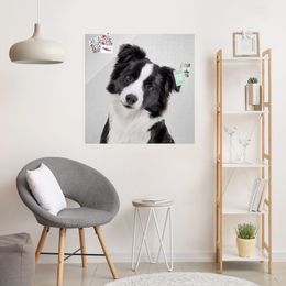 Bilderwelten Glasbild Tiere Motiv schwarz weiss Glas Wandbild - Bordercollie Benni - Hund Kinderzimmer Baby M&auml;dchen Jungen