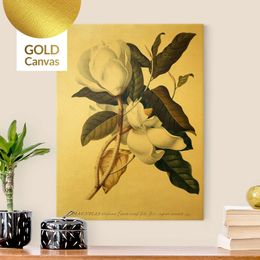 Bilderwelten Leinwandbild - Hochformat Georg Dionysius Ehret - Magnolie